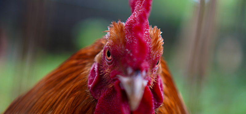 Health plans and medical suppliers can tame seasonal spikes in Little ...